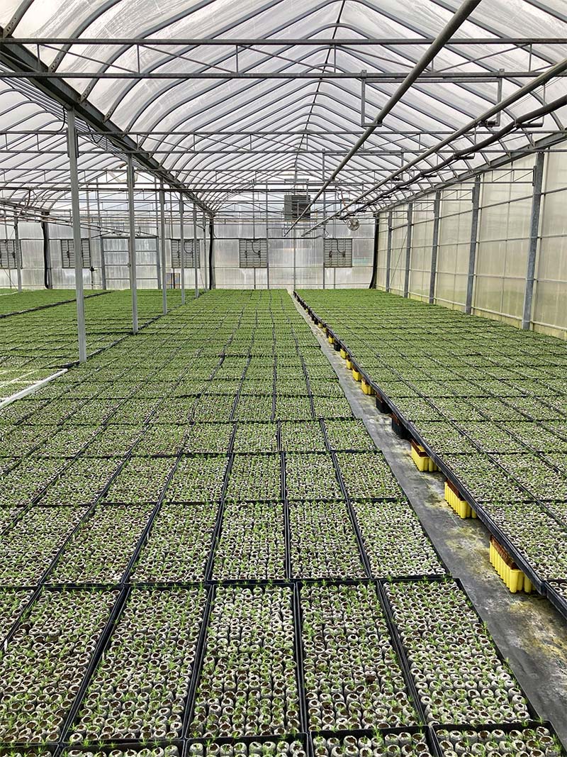 Document Center: Guides & Tools - GGS Greenhouse Structures